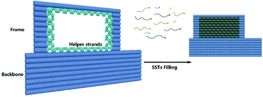 DNA origami frame filled with two types of single-stranded tiles ...
