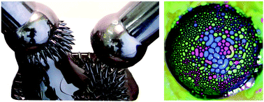 Ferrofluids and bio-ferrofluids: looking back and stepping forward ...
