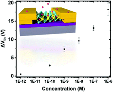 Field-effect-transistor-based ion sensors: ultrasensitive mercury(ii ...