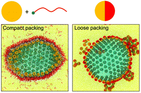 The advantages of nanoparticle surfactants over Janus nanoparticles on ...