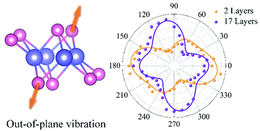 Anomalous polarization pattern evolution of Raman modes in few-layer ...