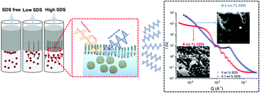 Reversible assembly of silica nanoparticles at water–hydrocarbon ...