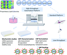 Development of a high-throughput platform for screening lipid nanoparticles for mRNA delivery ...