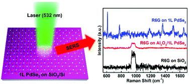 Enhanced Raman scattering on two-dimensional palladium diselenide ...