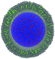 Role of polyplex charge density in lipopolyplexes - Nanoscale (RSC ...