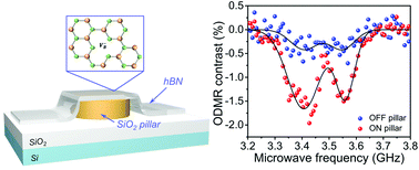 Spin defects in hexagonal boron nitride for strain sensing on nanopillar arrays - Nanoscale (RSC ...