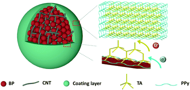 Tannic acid-polypyrrole multifunctional coating layer enhancing the interface effect and ...