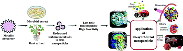 Green approaches for the synthesis of metal and metal oxide ...