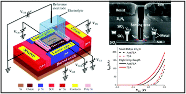 A new approach towards the Debye length challenge for specific and ...