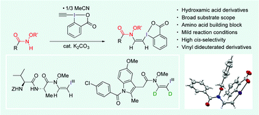 N-Alkenylation of hydroxamic acid derivatives with ethynyl ...