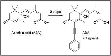 3′-(Phenyl alkynyl) analogs of abscisic acid: synthesis and biological ...