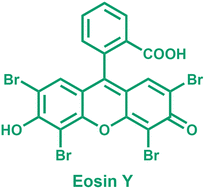 Eosin: a versatile organic dye whose synthetic uses keep expanding ...