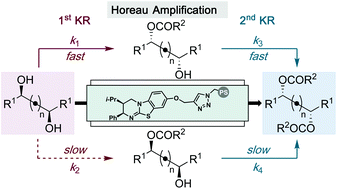 Horeau amplification in the sequential acylative kinetic resolution of ...
