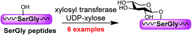 Exploration of human xylosyltransferase for chemoenzymatic synthesis of ...