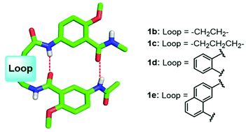 Tripeptide Bond