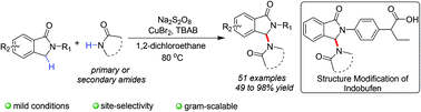 Copper-promoted direct amidation of isoindolinone scaffolds by sodium ...