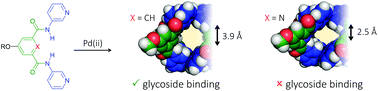 Comparison of [Pd2L4][BF4]4 cages for binding of n-octyl glycosides and ...