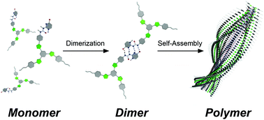 Solvent-directed formation of helically twisted stacking constructs via ...