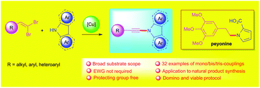 Copper-catalyzed domino synthesis of ynamines - Organic & Biomolecular ...