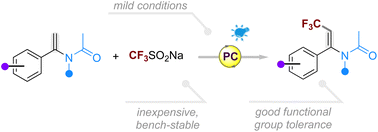 Visible-light-promoted olefinic trifluoromethylation of enamides with ...