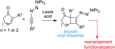 Synthesis of bicyclic vinyl triazenes by Ficini-type reactions ...