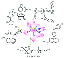 Recent advances in the synthesis and applications of phosphoramides ...