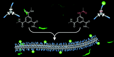 Facilitating functionalization of benzene-1,3,5-tricarboxamides by ...