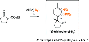 Diastereoselective synthesis of (±)-trichodiene and (±)-trichodiene-D3 ...