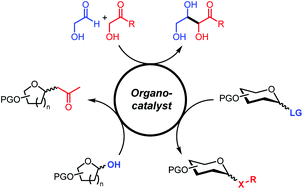 Organocatalysis applied to carbohydrates: from roots to current ...