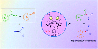 Buchwald–Hartwig amination of aryl esters and chlorides catalyzed by ...