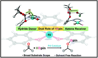 Hydroboration and reductive amination of ketones and aldehydes with ...