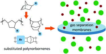 Substituted polynorbornene membranes: a modular template for targeted ...