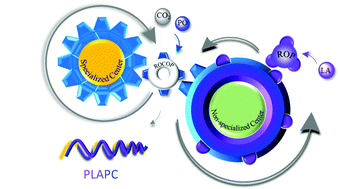 Efficient ternary catalyst system for the copolymerization of lactide ...