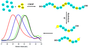 Synthesis and properties of l-lactide/1,3-dioxolane copolymers ...