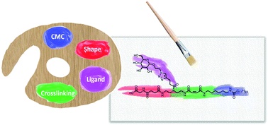 Synthesis and self-assembly of amphiphilic precision ...
