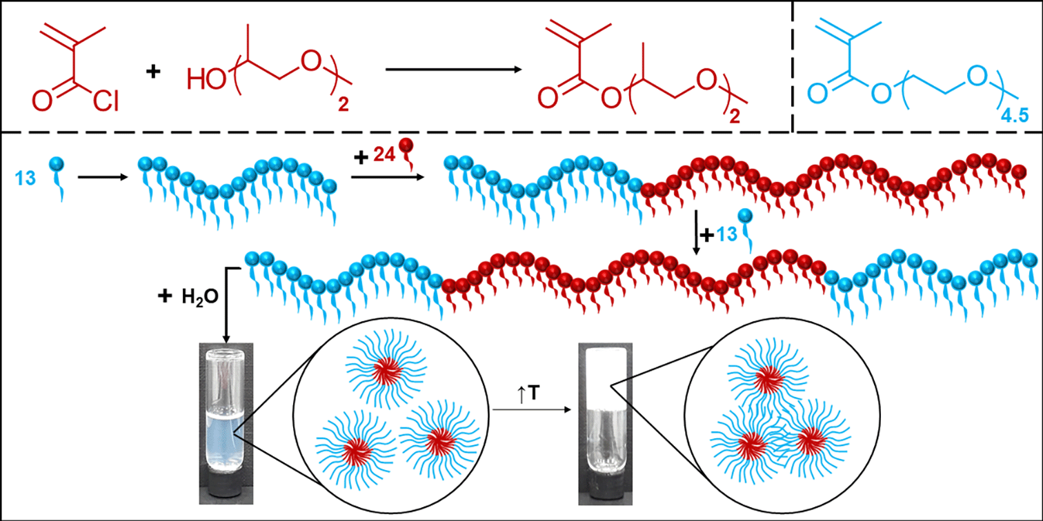 Homo- and co-polymerisation of di(propylene glycol) methyl ether ...