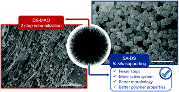 Innovative route for the preparation of high-performance polyolefin ...