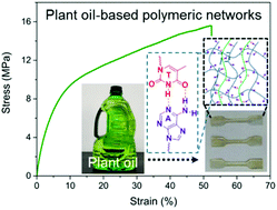 Enhancing and toughening plant oil-based polymeric materials through ...
