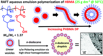 Synthesis of diblock copolymer spheres, worms and vesicles via RAFT ...