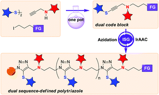 IrAAC-based construction of dual sequence-defined polytriazoles ...