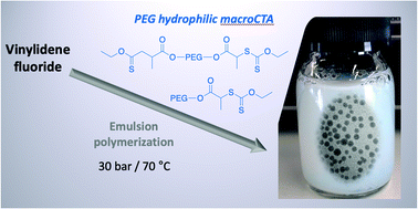 Surfactant-free emulsion polymerization of vinylidene fluoride mediated ...