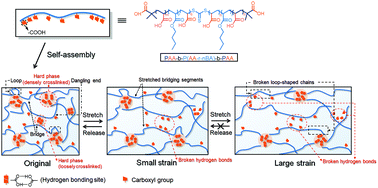 A spontaneously healable robust ABA tri-block polyacrylate elastomer ...