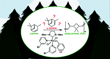 Investigating the effect of α-pinene on the ROMP of δ-pinene - Polymer ...