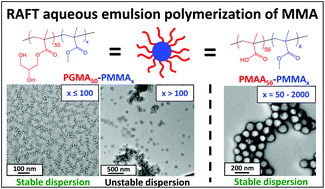 RAFT aqueous emulsion polymerization of methyl methacrylate ...