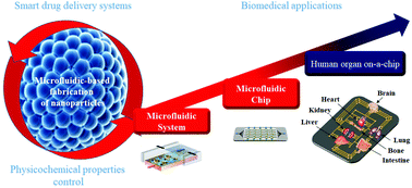 Polymer based nanoparticles for biomedical applications by microfluidic ...