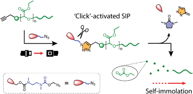 Post-polymerization ‘click’ end-capping of polyglyoxylate self ...