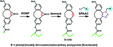 Strained alkyne polymers capable of SPAAC via ring-opening metathesis ...