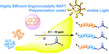 Organocatalytic PET-RAFT polymerization with a low ppm of organic ...