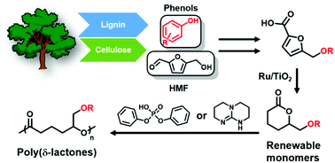 Pathway to fully-renewable biobased polyesters derived from HMF and ...