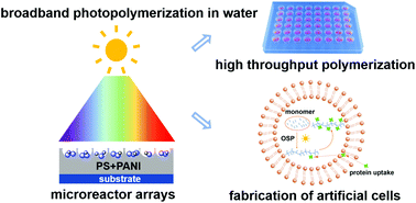 Aqueous broadband photopolymerization on microreactor arrays: from high ...